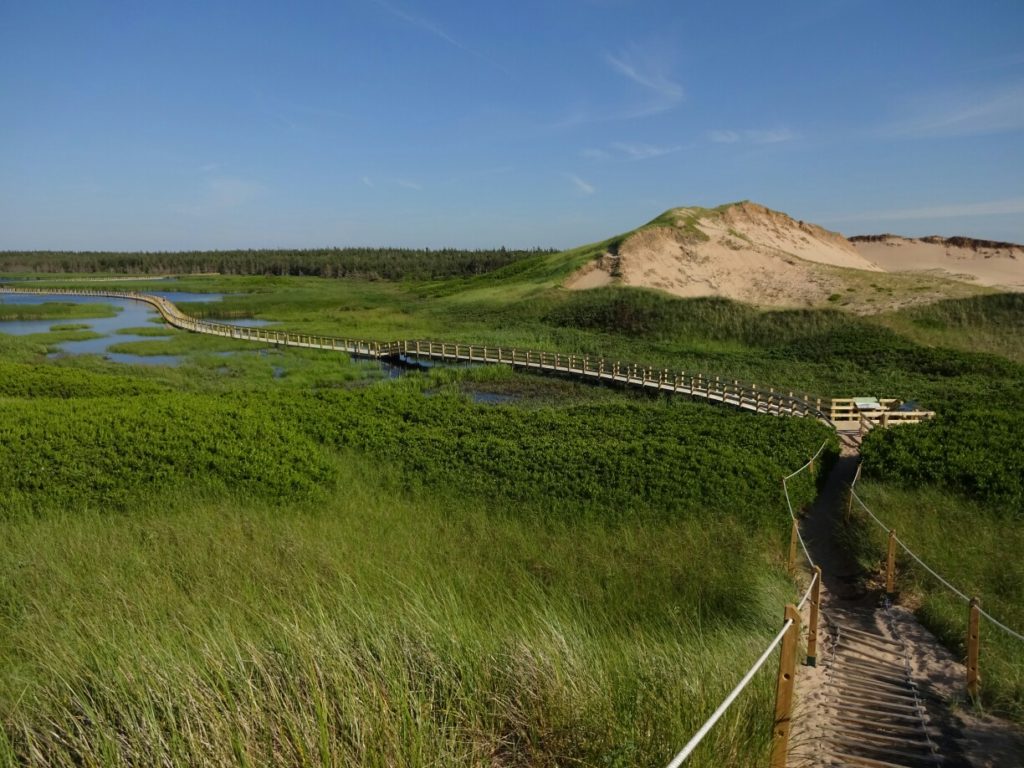 Basin Head Provincial Park | WhereDoYouGo?